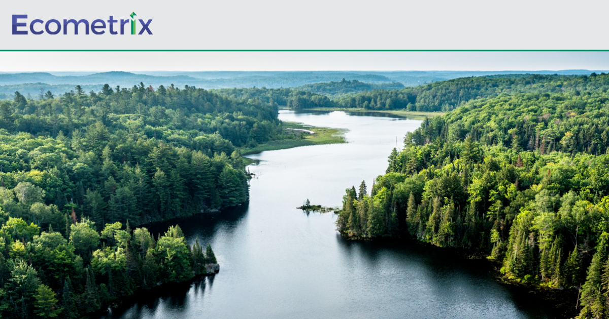 Ecometrix: A moment to reflect | Ecometrix Inc.