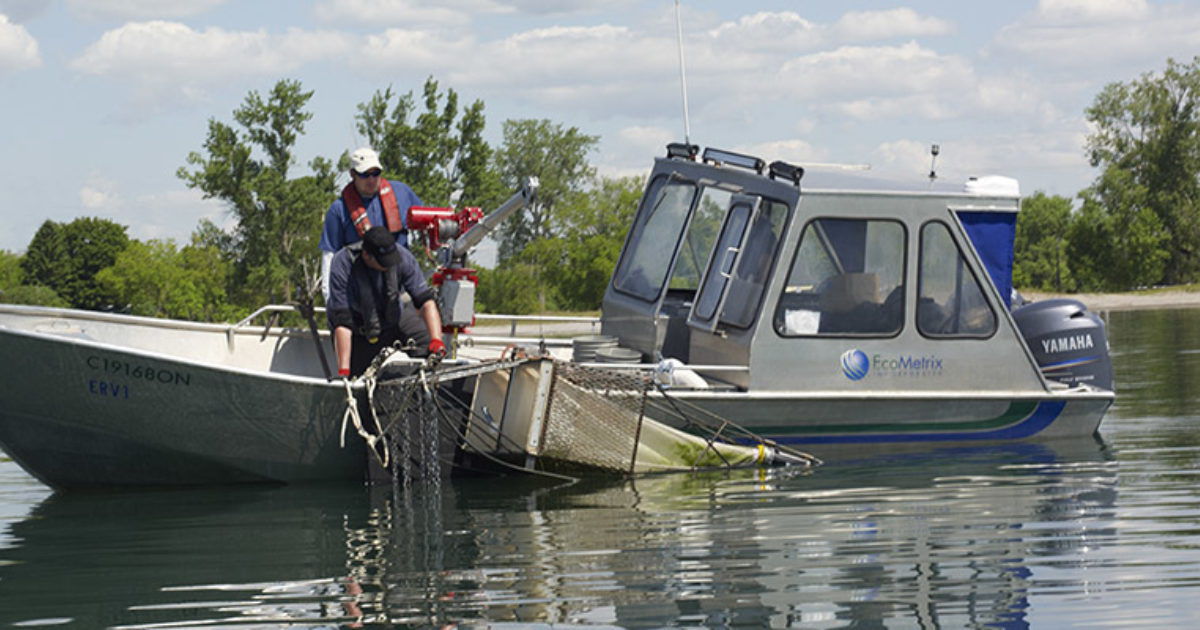 Ecometrix Inc. | Impact assessment of benthic invertebrates & fish in…